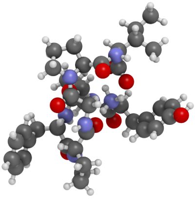 Caseinato de calcio – Lactoprot líder en la producción de Ingredientes ...